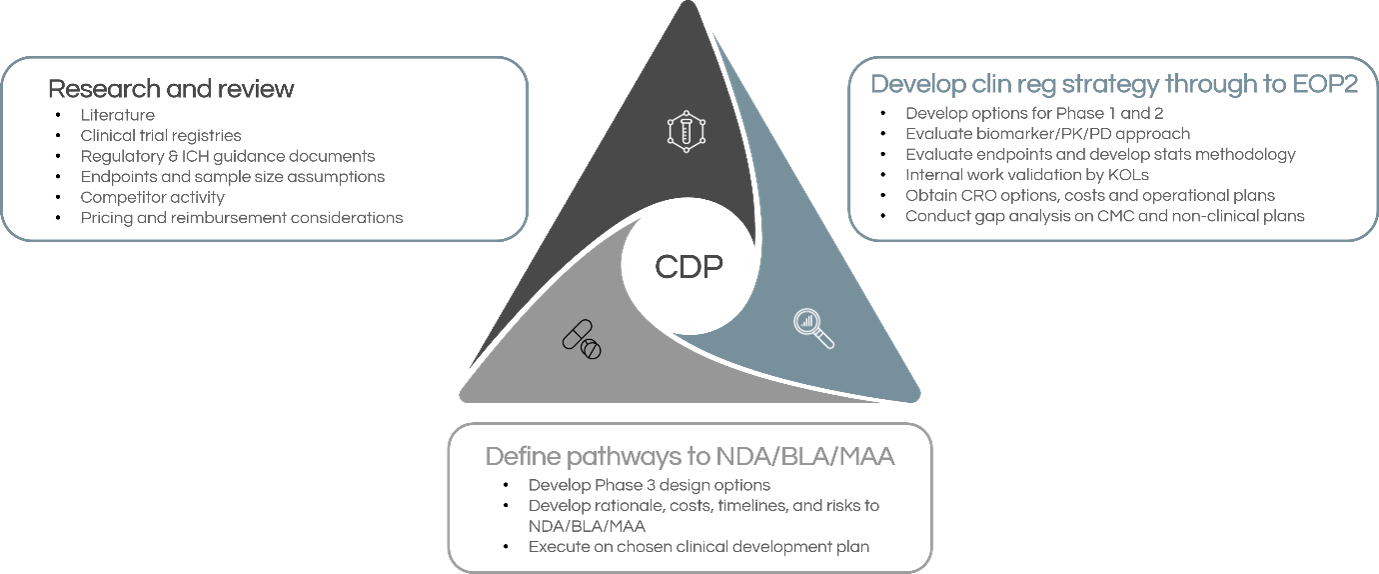 Development Strategy: the added value of comprehensive Development ...